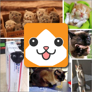 Catmoji: Because Cats + Internet = Happy Internet!