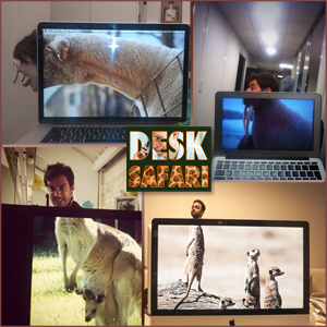Desk Safari - Take a Break and Unleash your Inner Animal!