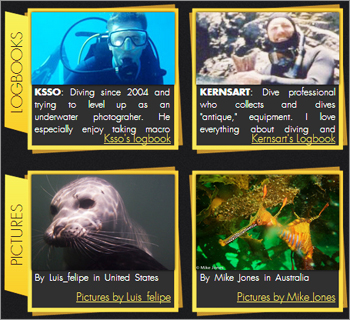 Diveboard: The Online Network For The SCUBA Diving Community