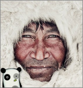 Bored Panda: For Everything Brilliant and Bizarre